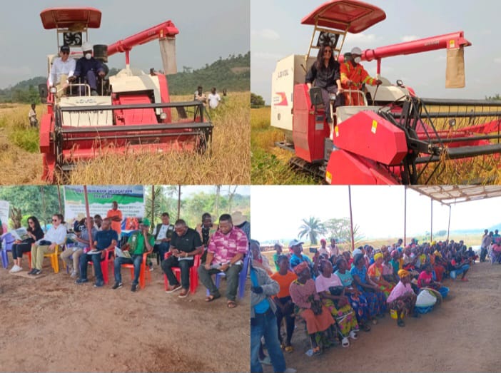 Increasing Liberia’s Domestic Rice Production - Reports 231