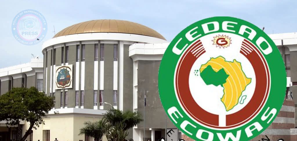 New Elections to be held by HoR Majority Bloc for ECOWAS Parliament ...