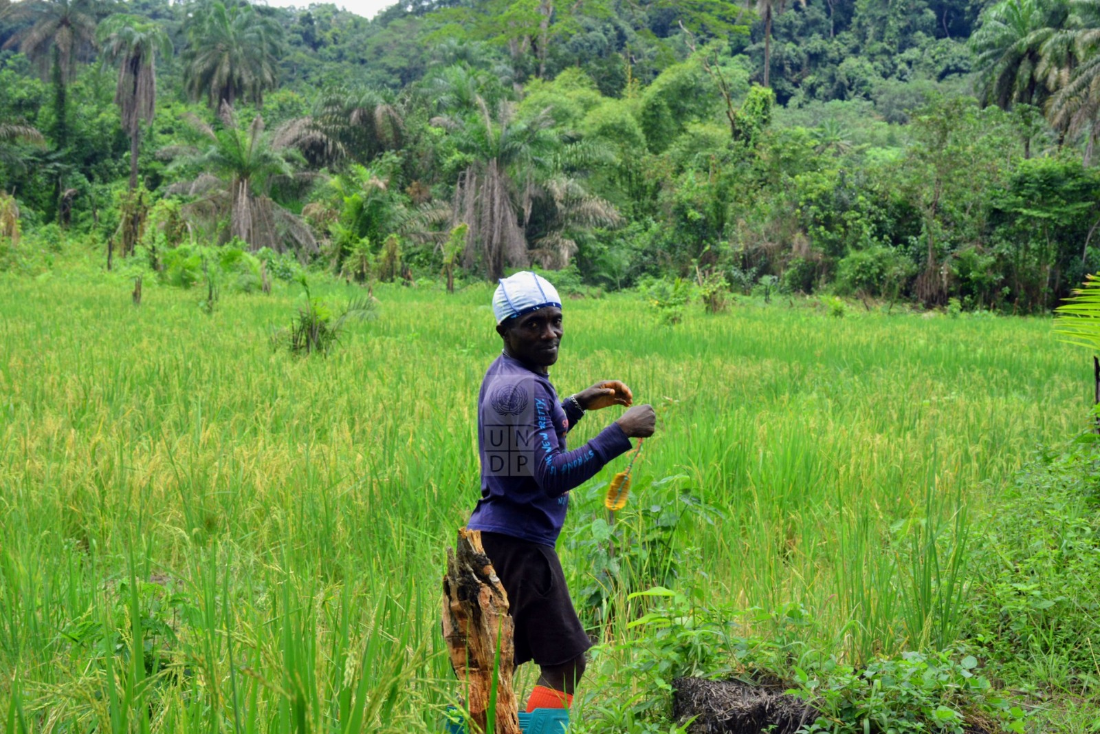 EPA and Partners Support Validation of National Biodiversity Strategy ...